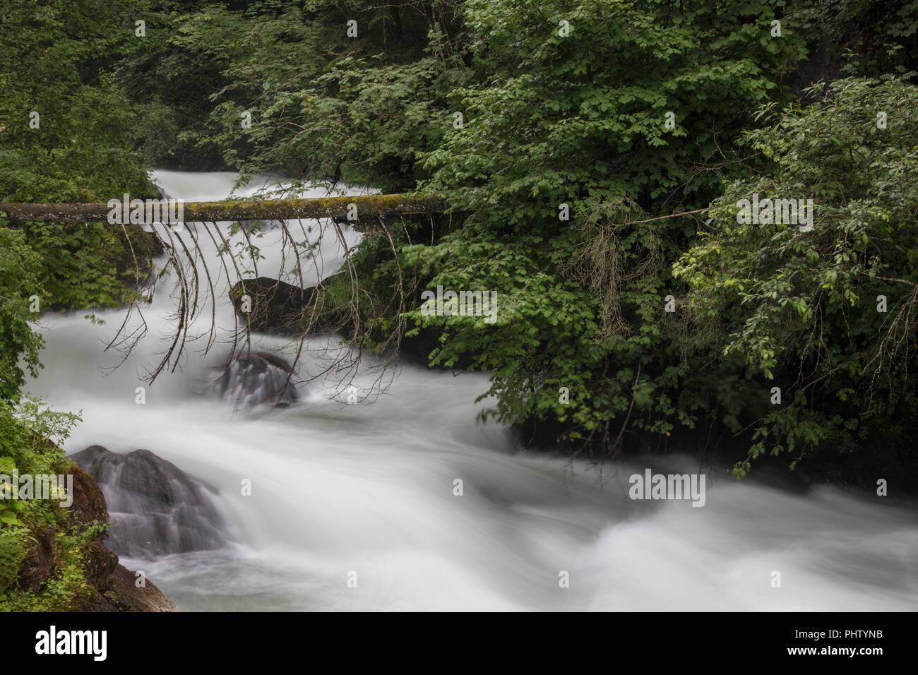 Tree log over a river, Gorge in Austria, Talbachklamm, Schladming ...