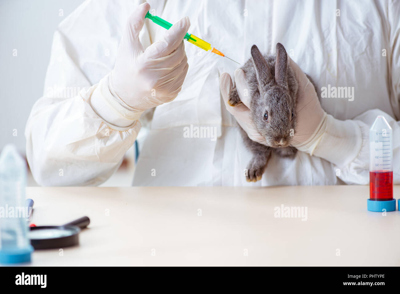 Vet doctor checking up rabbit in his clinic Stock Photo - Alamy