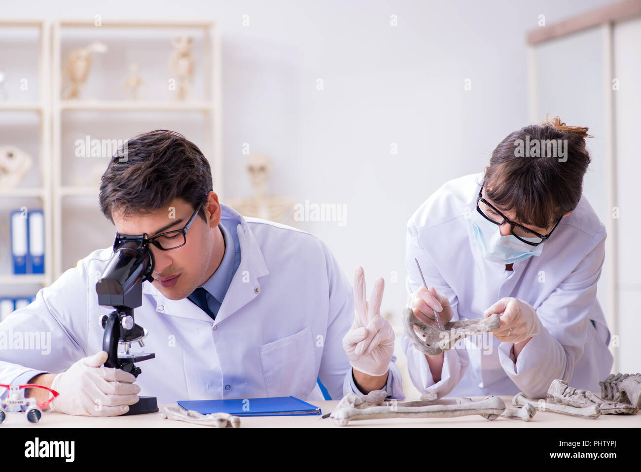 Professor studying human skeleton in lab Stock Photo - Alamy