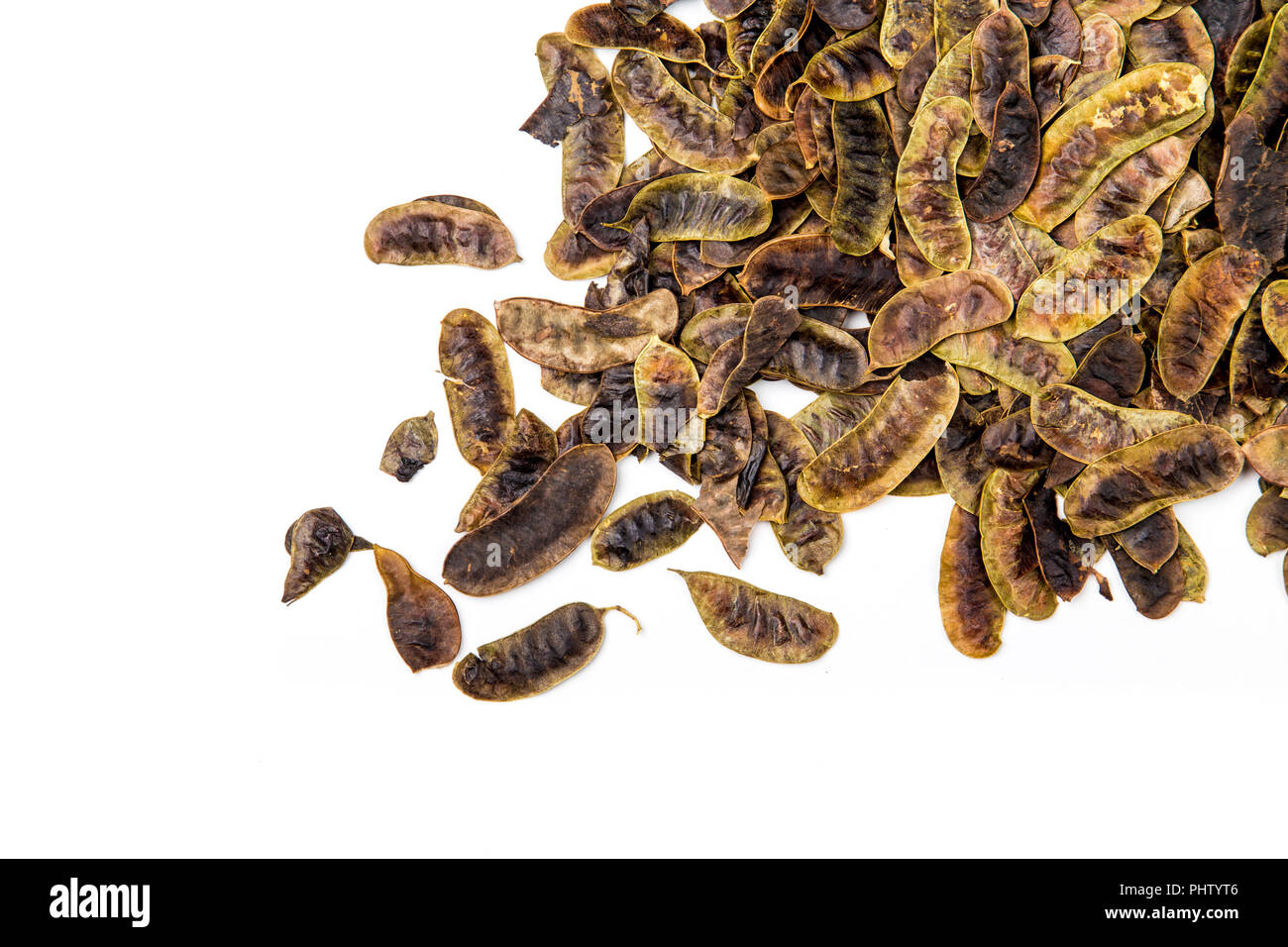 Dried Senna Pods (Cassia angustifolia Stock Photo - Alamy