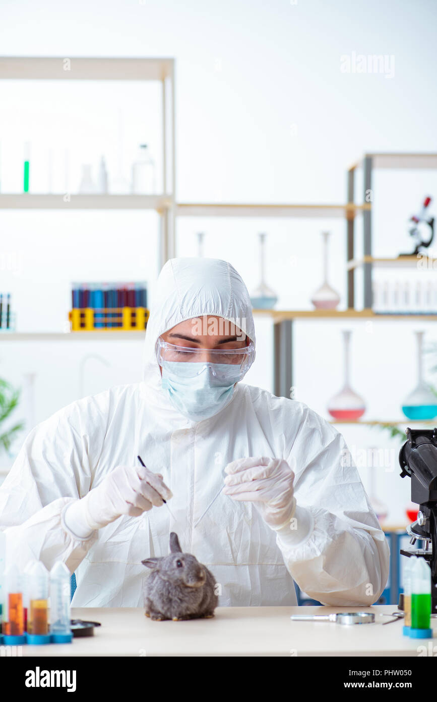 Scientist experimenting on animals hi-res stock photography and images ...