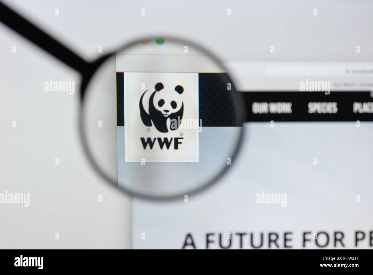 Milan, Italy - August 20, 2018: WWF website homepage. WWF logo visible ...
