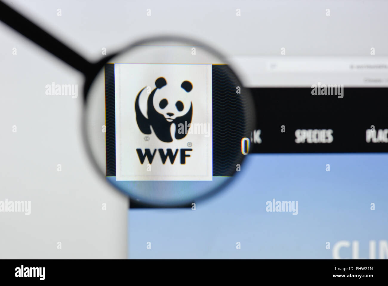Milan, Italy - August 20, 2018: WWF website homepage. WWF logo visible ...
