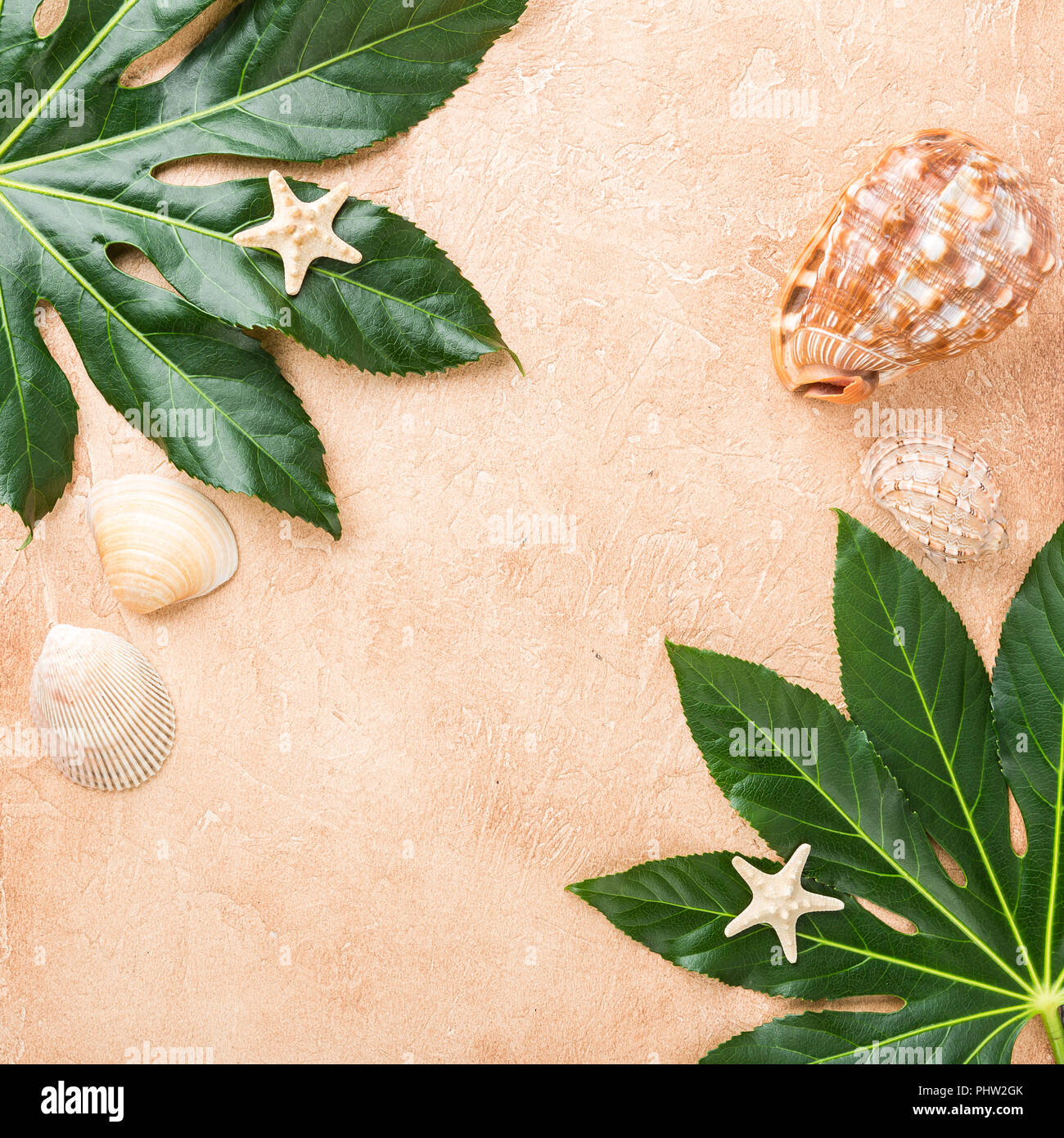 Palm tree branch with starfish and seashell on sand background Stock ...