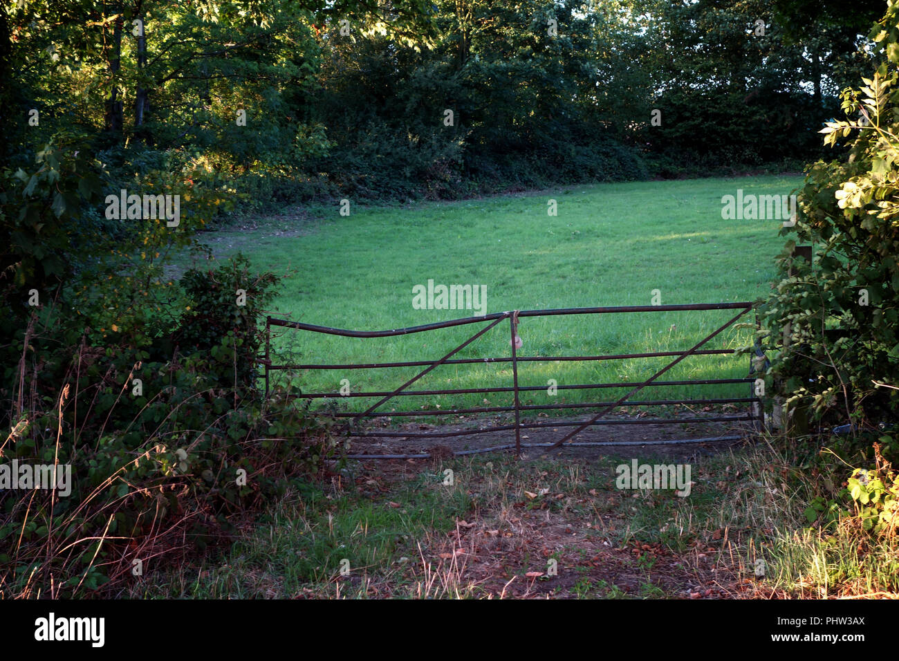 old metal gate at the entrance to a small green farm field in Yorkshire ...