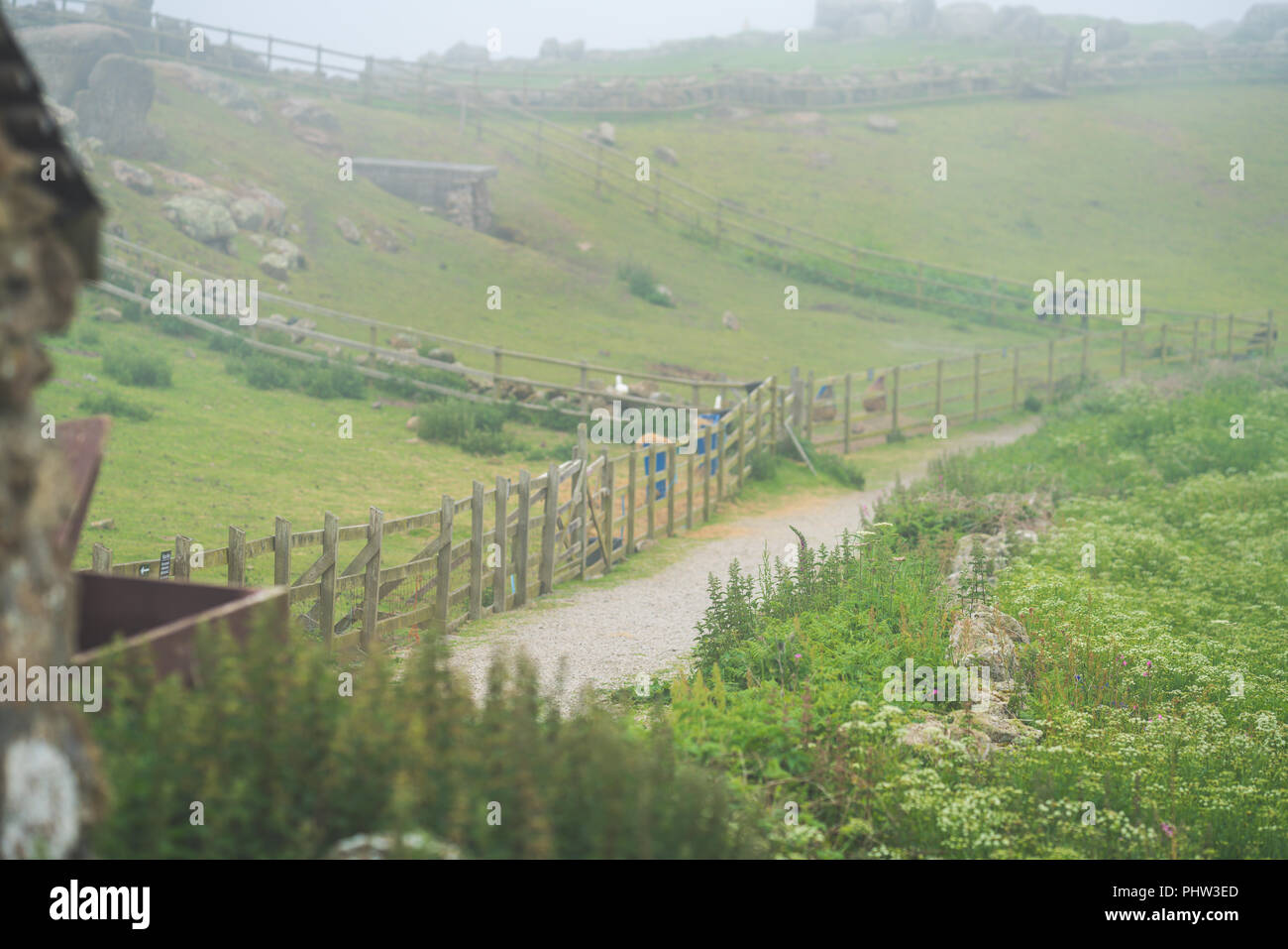 Path through farm in Cornwall Stock Photo - Alamy