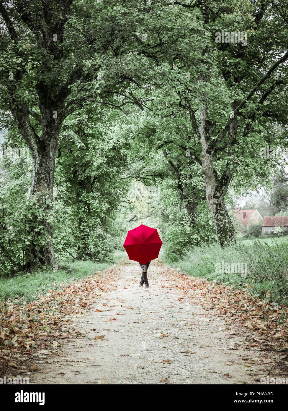 Abstract setting of a Woman with red umbrella posing in the autumn ...