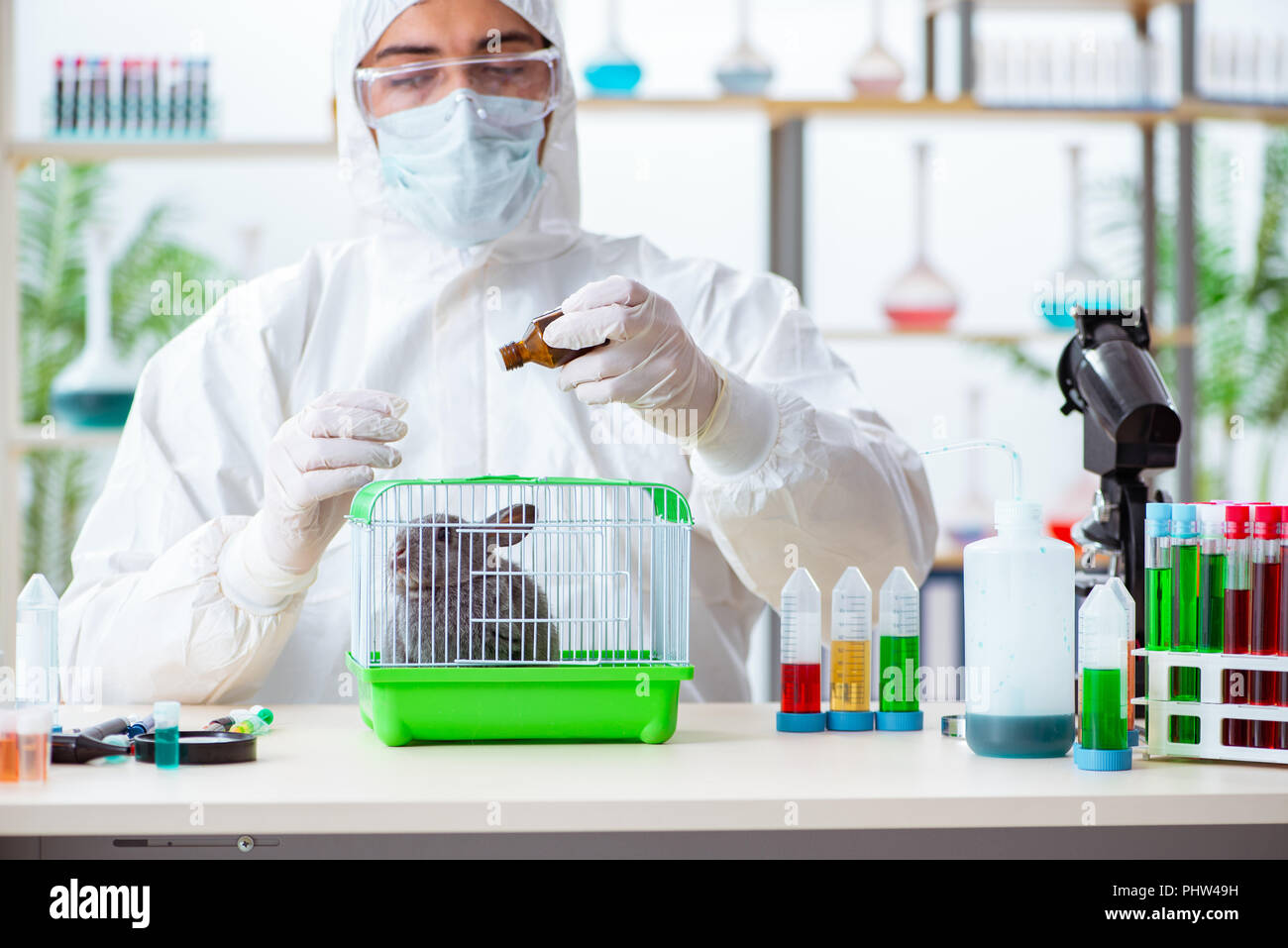 Scientist doing testing on animals rabbit Stock Photo - Alamy