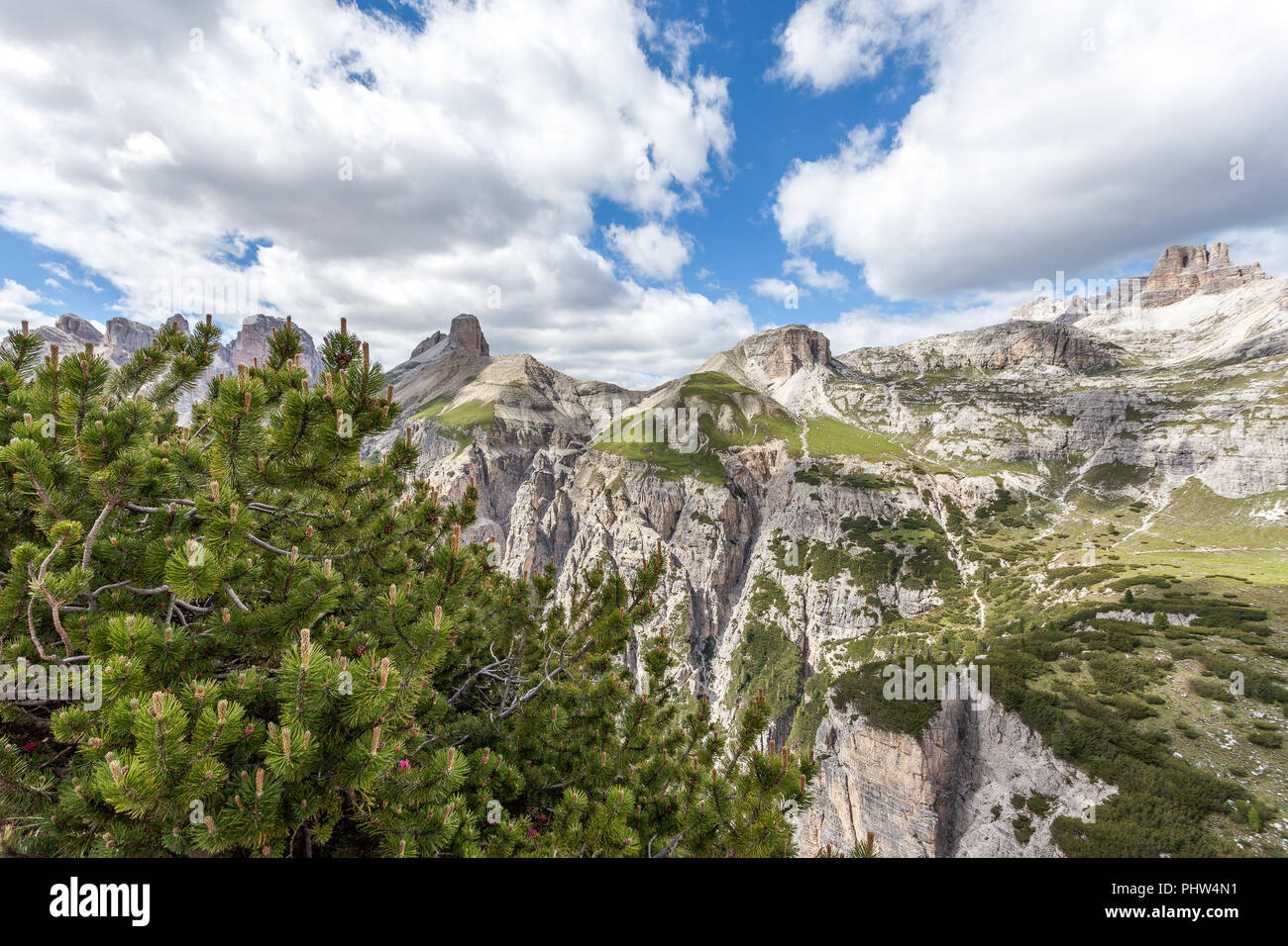 Dolomite peaks sprouting from green meadows, Dolomites, Italy Stock ...