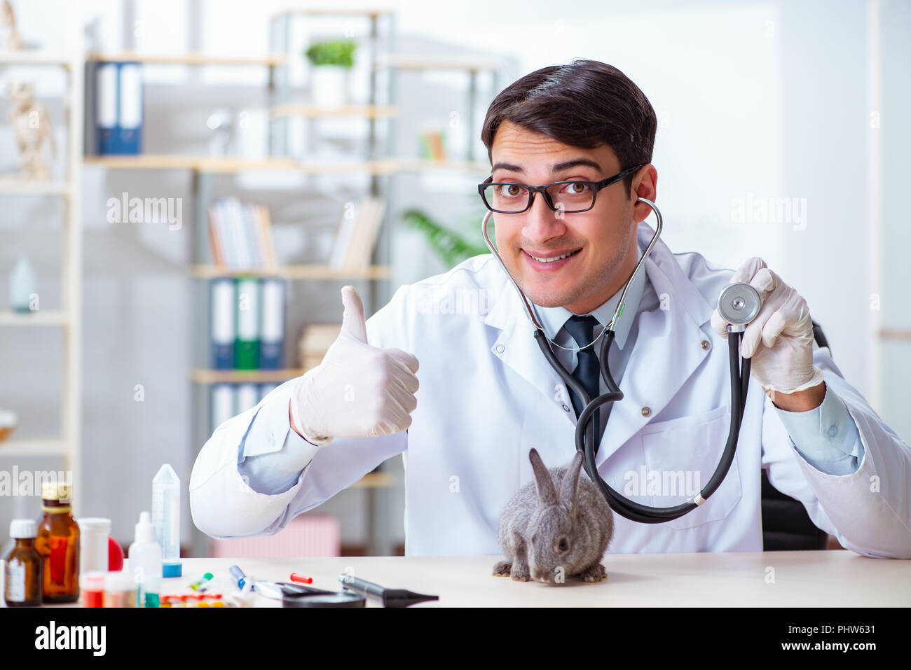 Vet doctor checking up rabbit in his clinic Stock Photo - Alamy