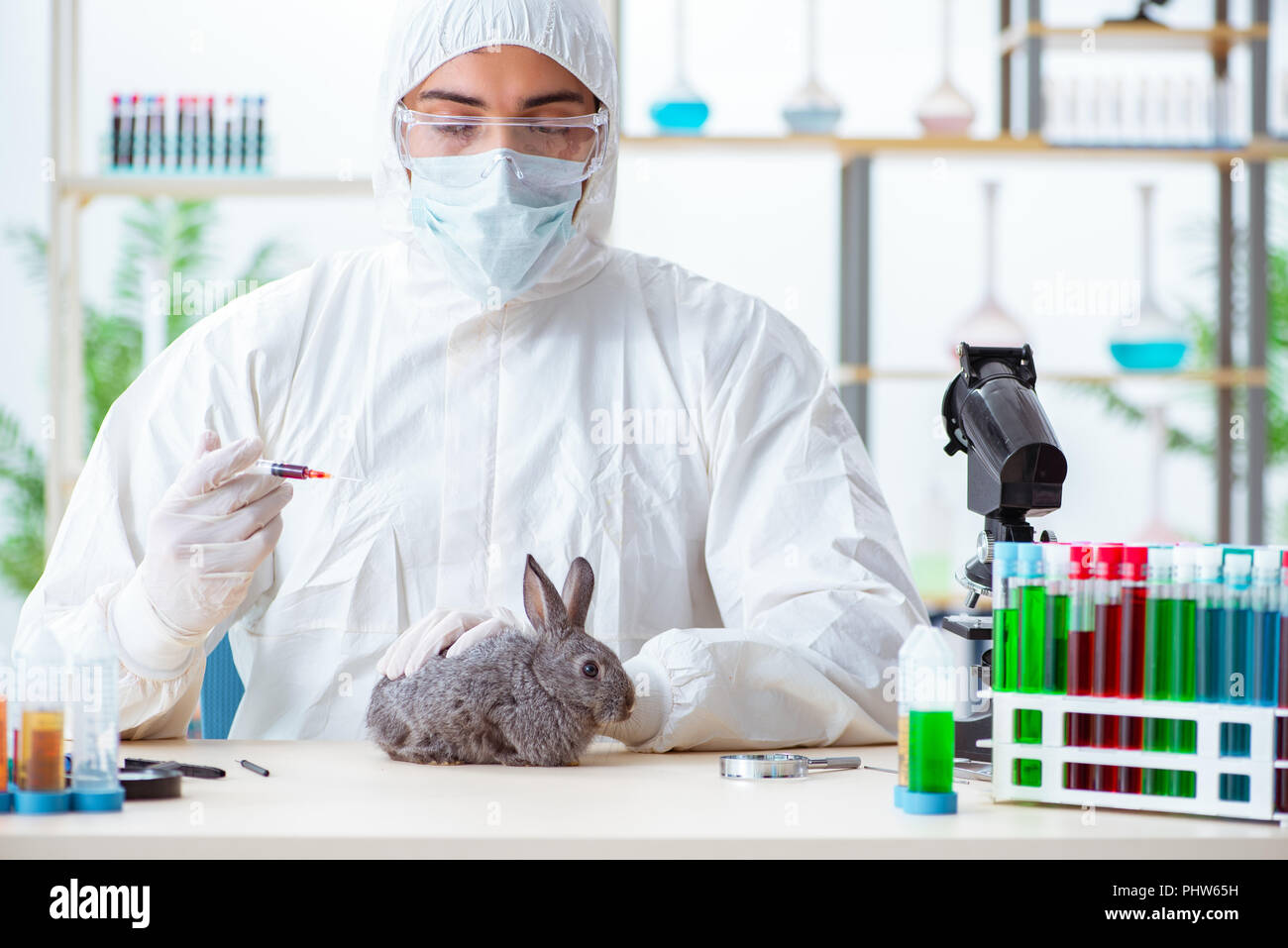 Vet doctor checking up rabbit in his clinic Stock Photo - Alamy