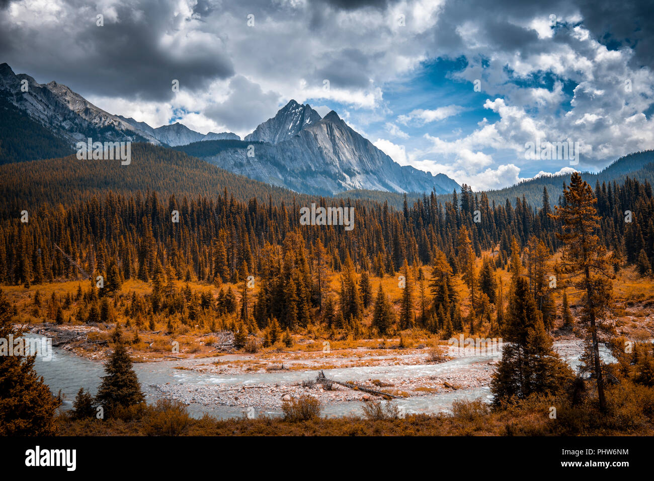 Ishbel High Resolution Stock Photography and Images - Alamy