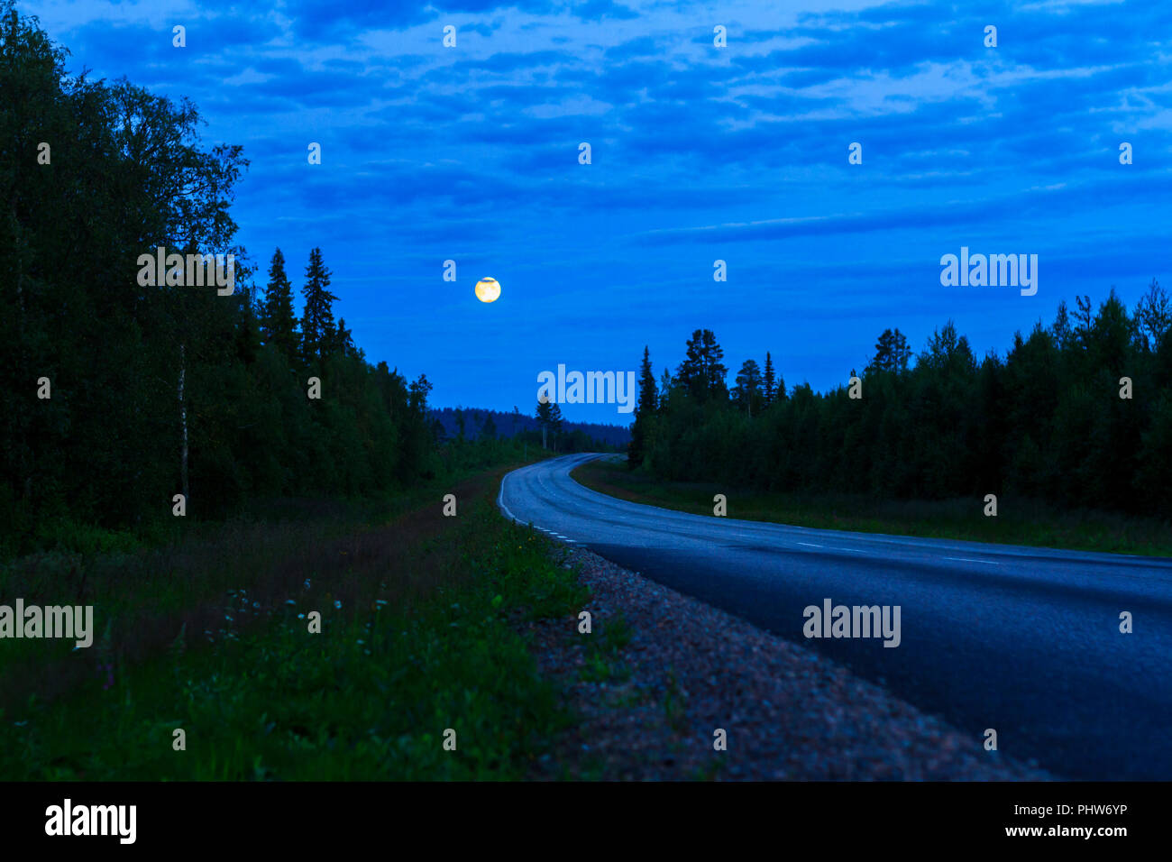 Moonlight through the tree hi-res stock photography and images - Alamy