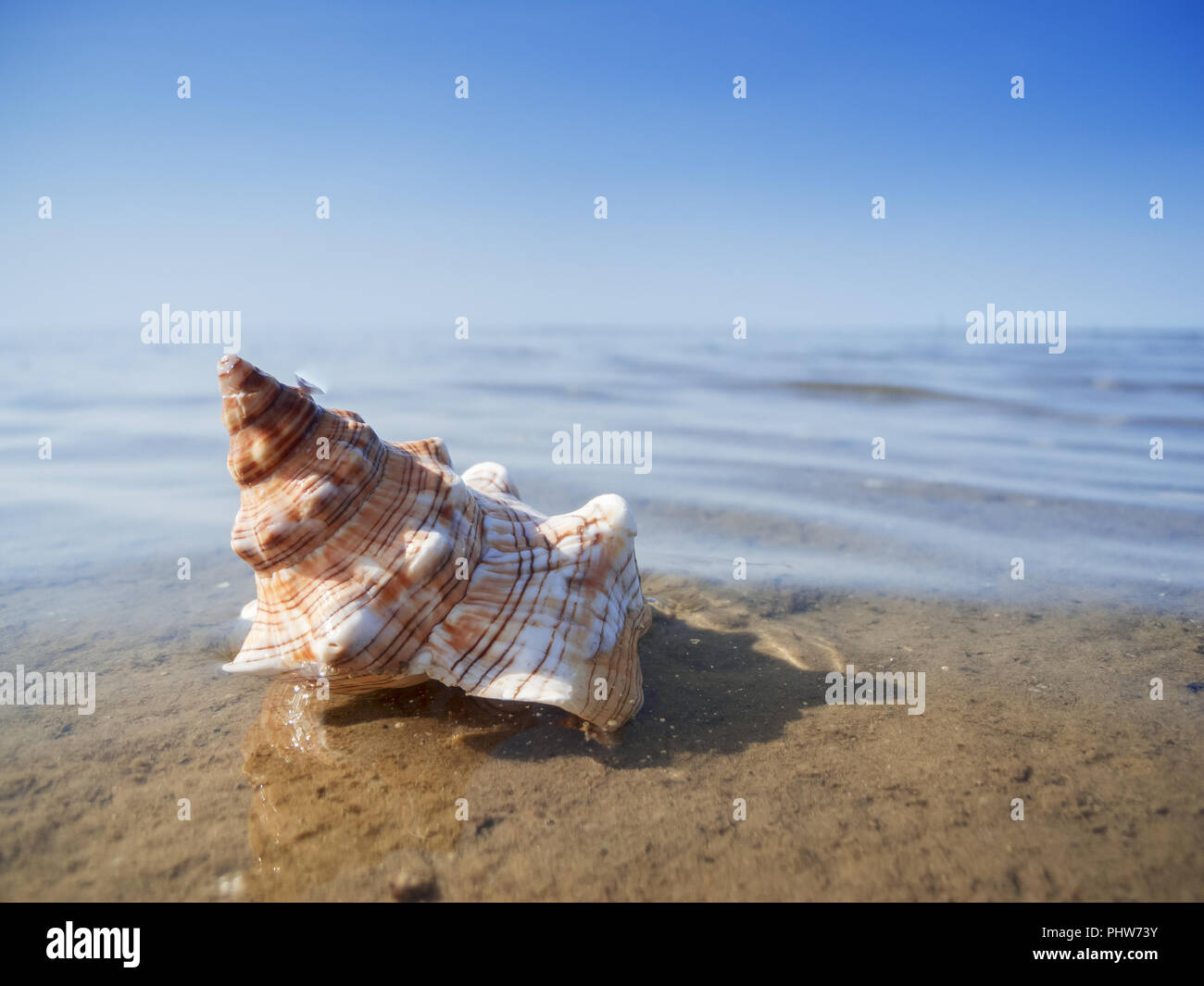 Trapezium hi-res stock photography and images - Alamy