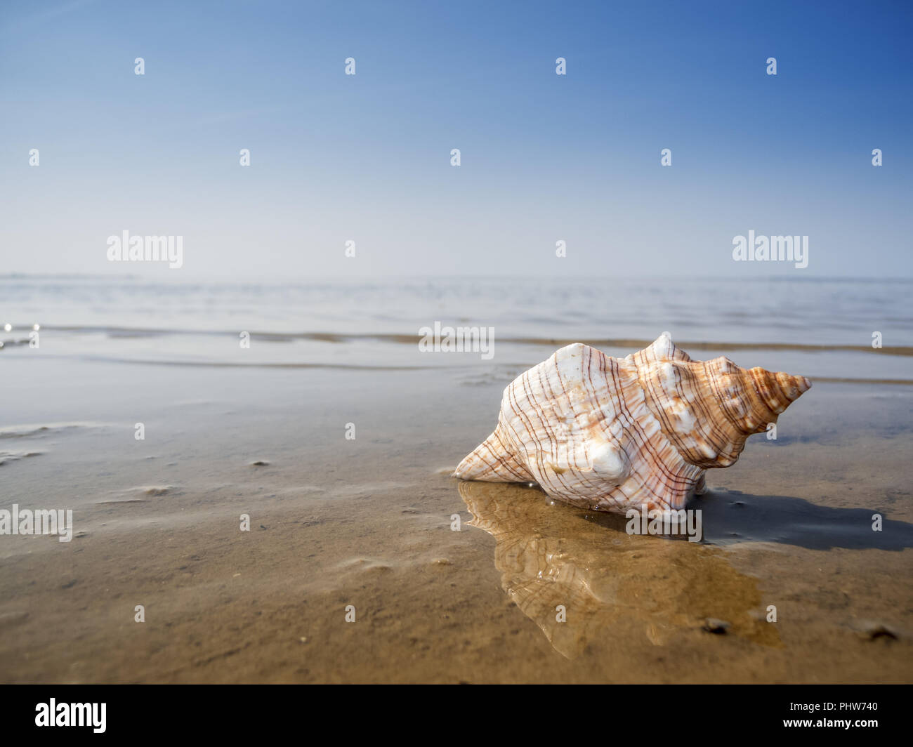 Trapezium hi-res stock photography and images - Alamy