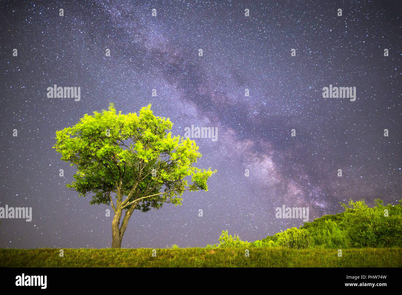 Night plum hi-res stock photography and images - Alamy