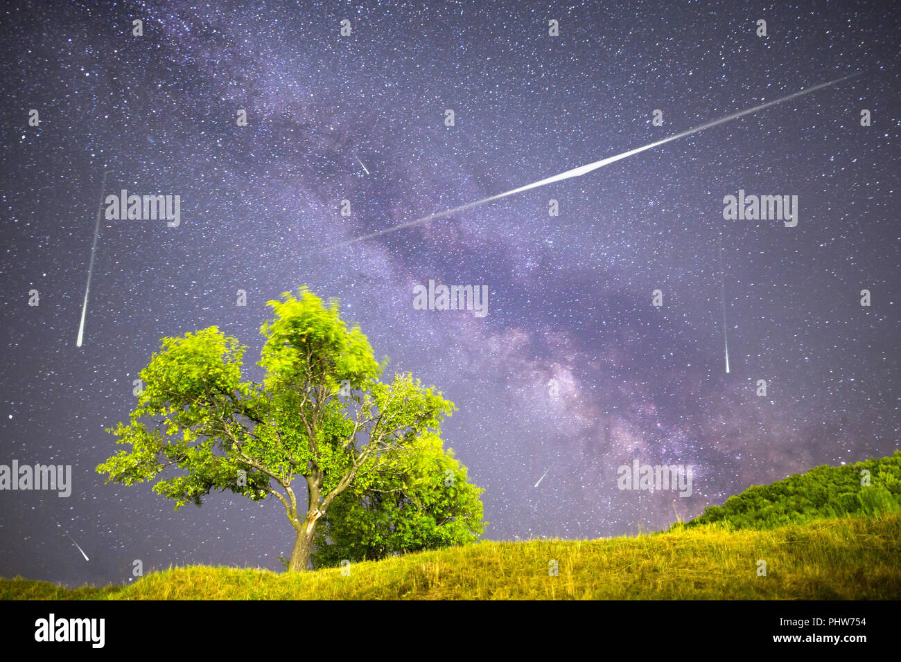 Green tree Milky way night sky falling stars Stock Photo - Alamy