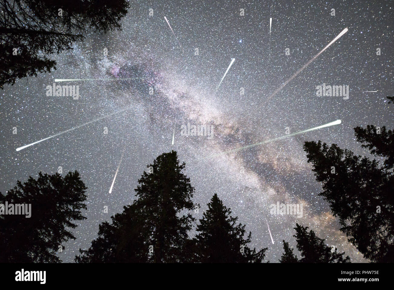 Pine trees silhouette Milky Way falling stars Stock Photo - Alamy