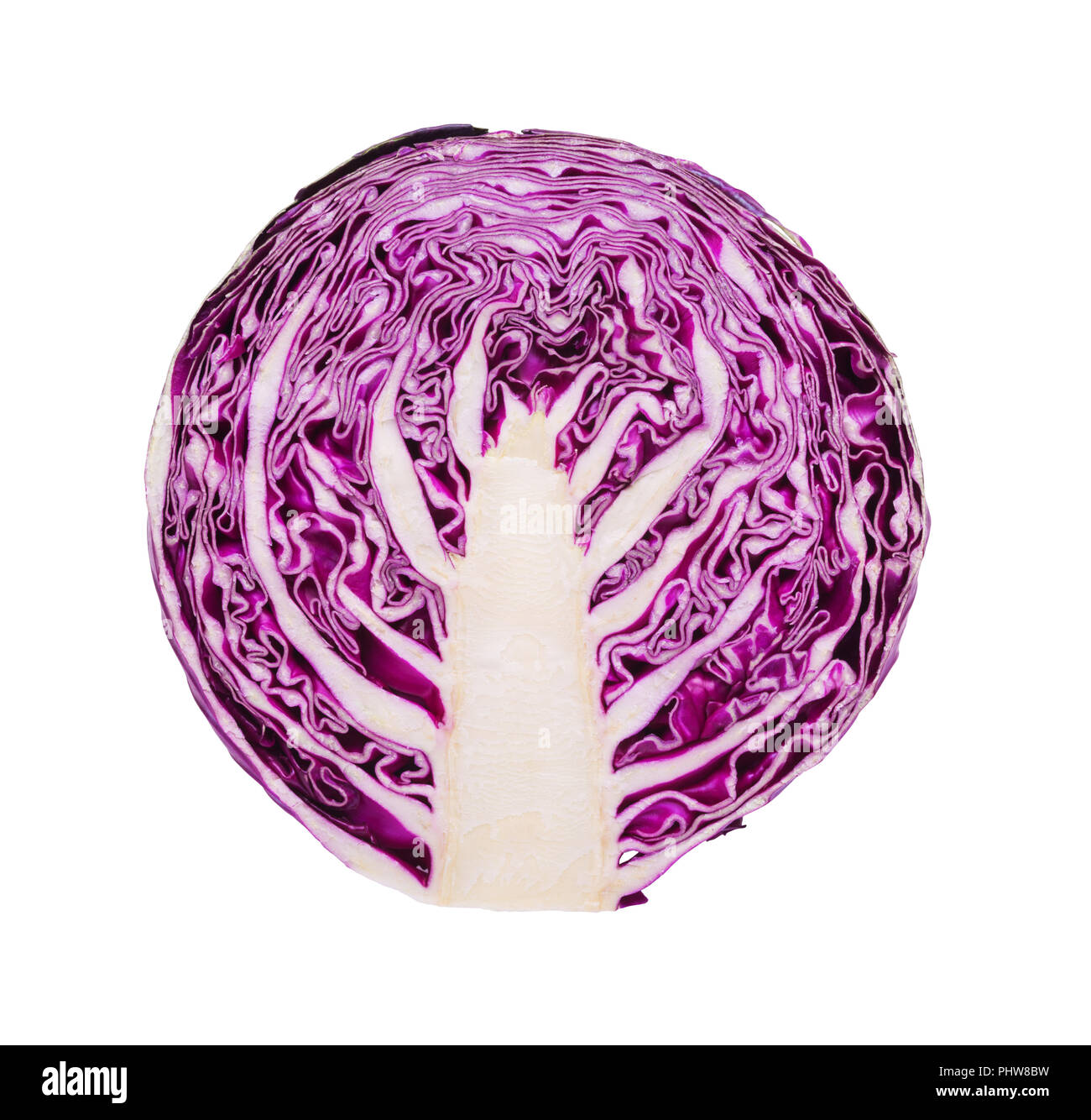 Round cabbage leaf Cut Out Stock Images & Pictures - Alamy