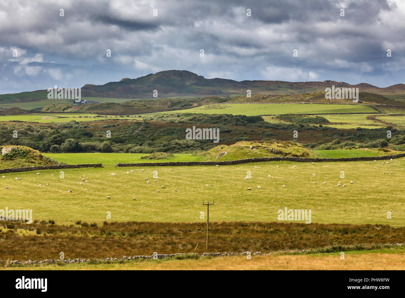 Landscape, Islay, Inner Hebrides, Argyll, Scotland, UK Stock Photo - Alamy