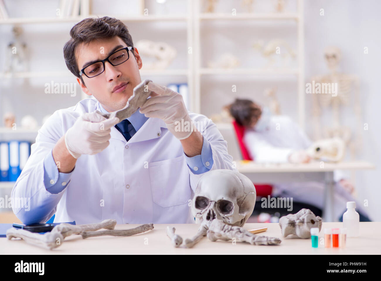 Professor studying human skeleton in lab Stock Photo - Alamy