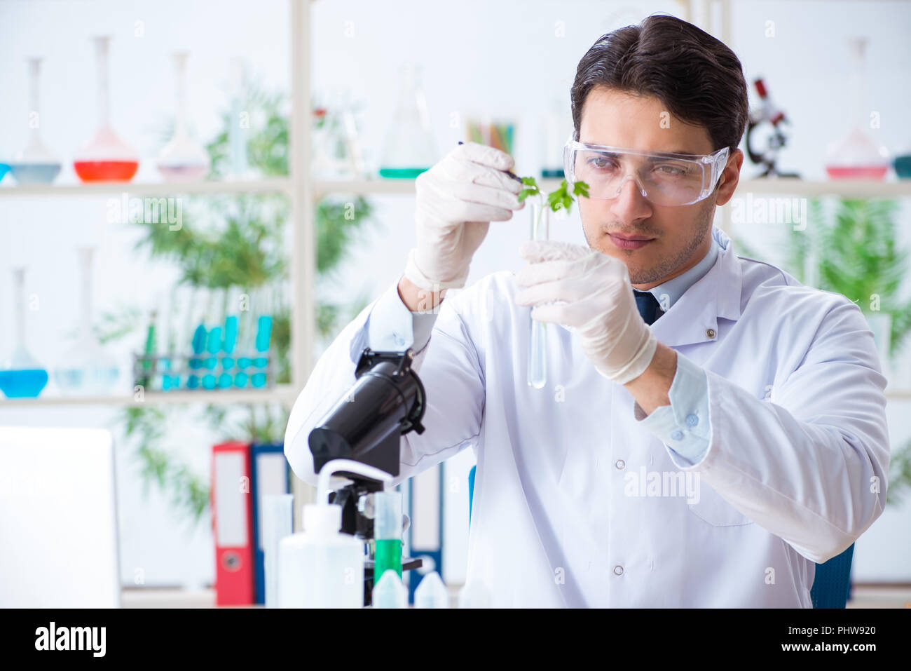 Male biochemist working in the lab on plants Stock Photo - Alamy