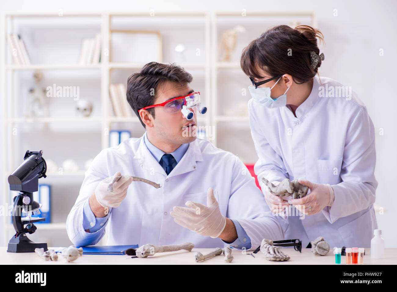 Professor studying human skeleton in lab Stock Photo - Alamy