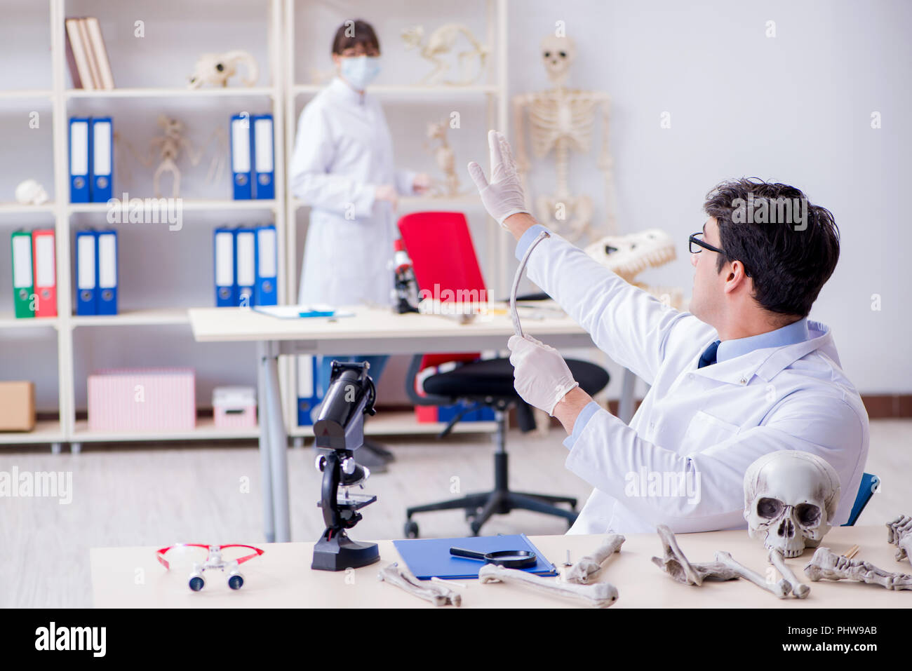 Professor studying human skeleton in lab Stock Photo - Alamy