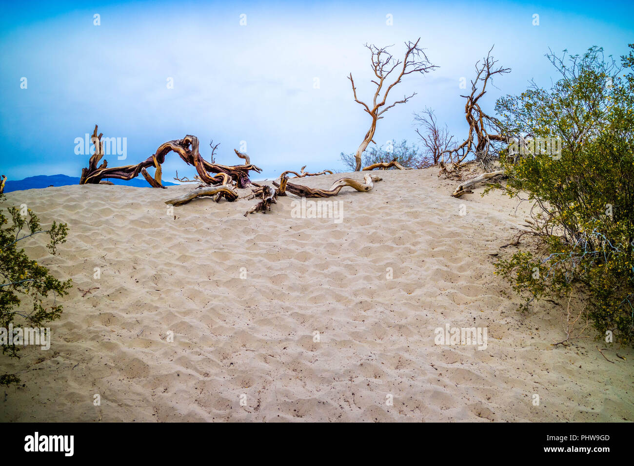 Tree in the valley hi-res stock photography and images - Alamy