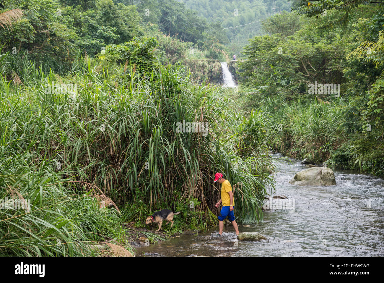 A man and his dog walk in a stream at a nature park in the mountains ...