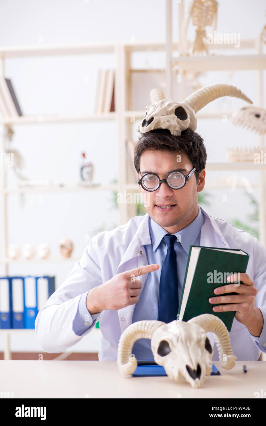 Funny crazy professor studying animal skeletons Stock Photo - Alamy