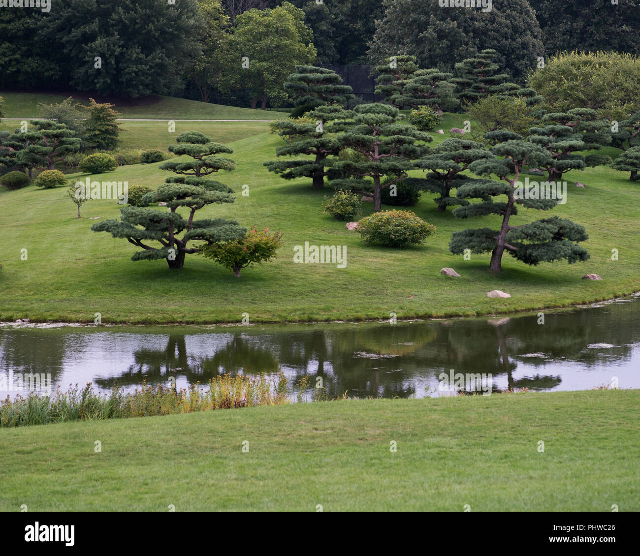 Beautiful landscape in Japanese garden during rainy day Stock Photo - Alamy
