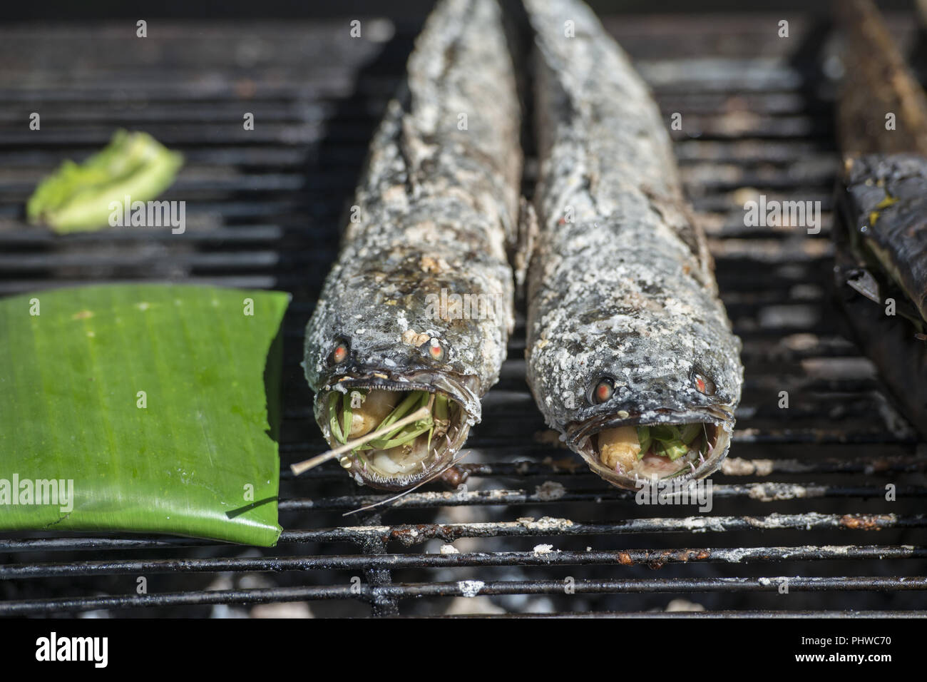 CAMBODIA KAMPONG THOM ASIAN FOOD SALT FISH Stock Photo - Alamy