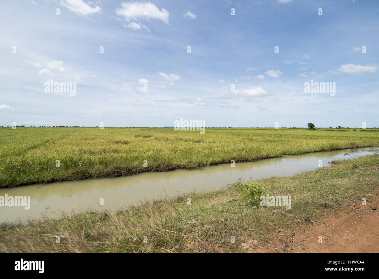 CAMBODIA KAMPONG THOM AGRICULTURE WATER CANAL Stock Photo - Alamy