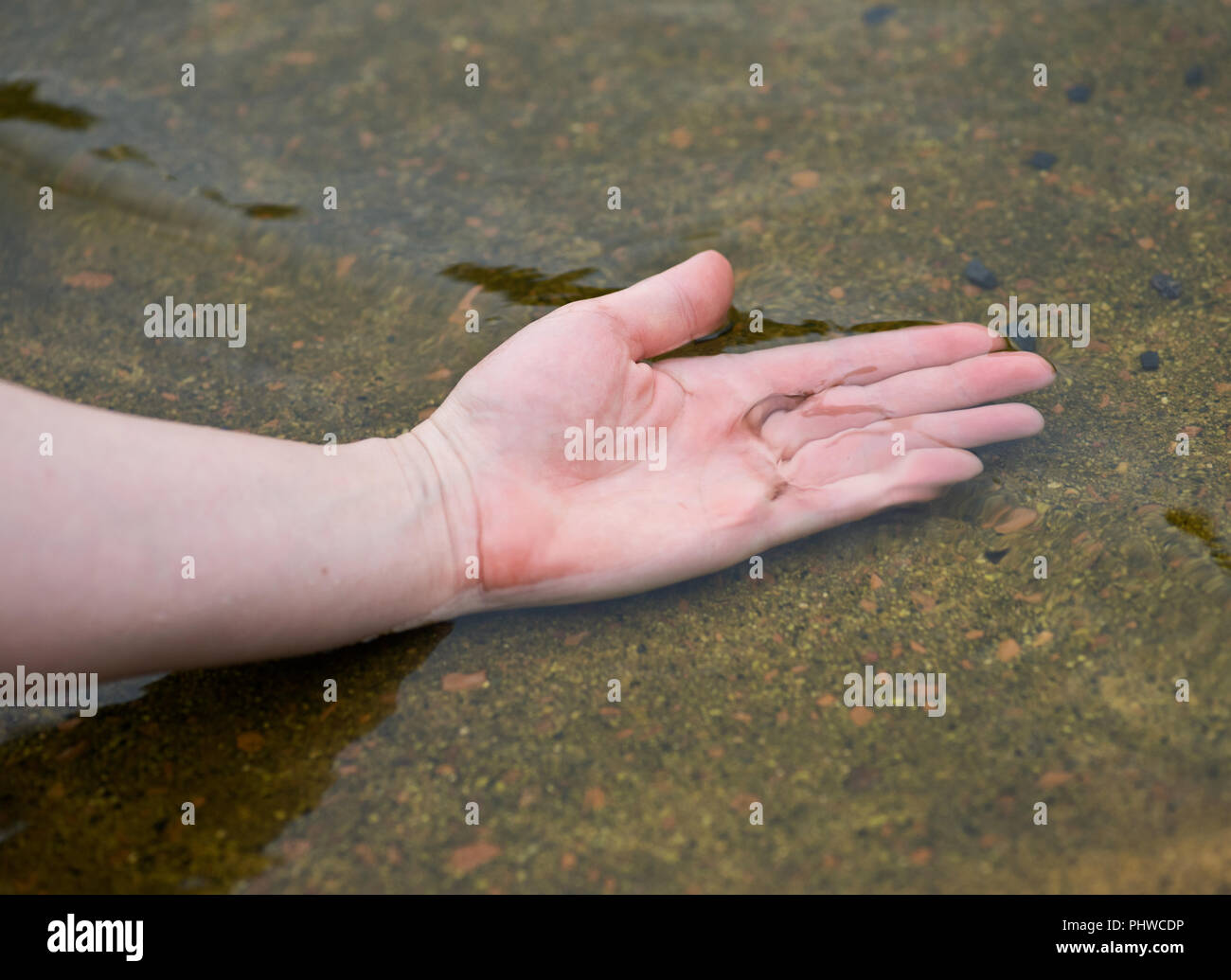 Close up of female hand touching water surface in botanic garden pond ...