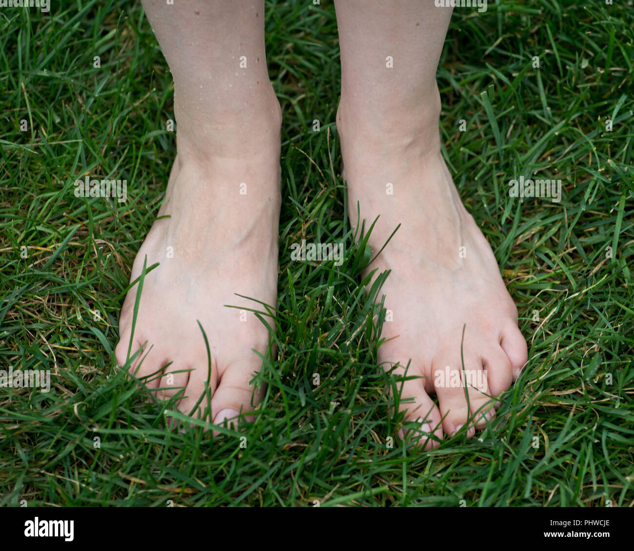 Woman standing on the grass with bare feet. Walking barefoot. Grounding ...