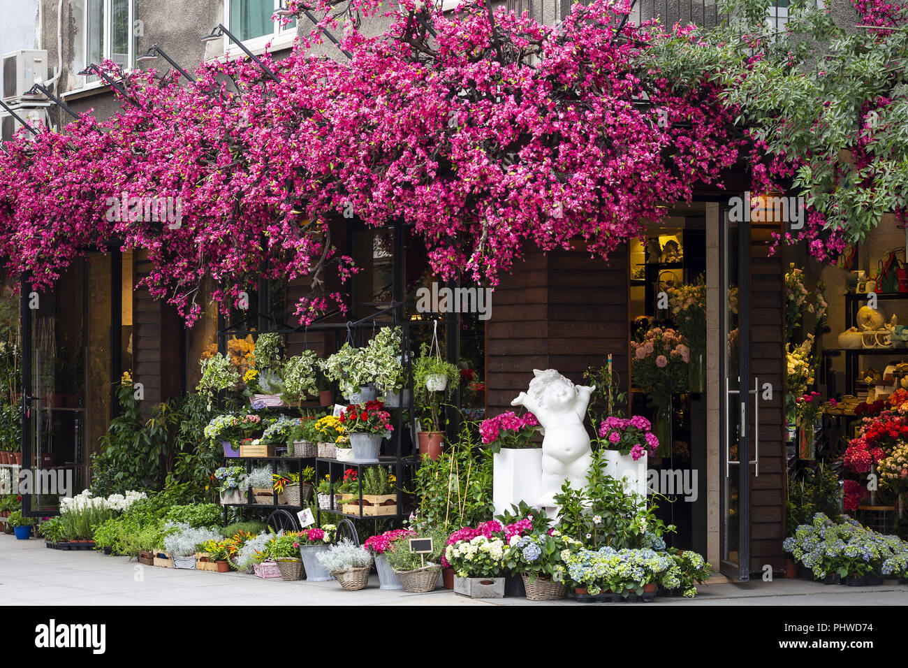 Pretty Flower shop Stock Photo - Alamy