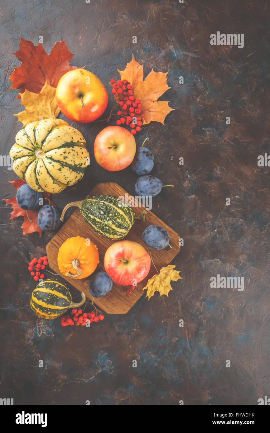 Small decorative pumpkins hi-res stock photography and images - Alamy