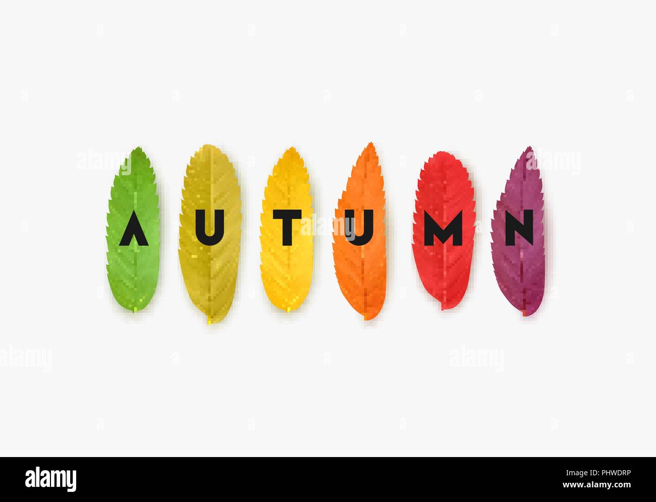 Fall Foliage design. Colorful autumn leaves. Banner, poster isolated on ...