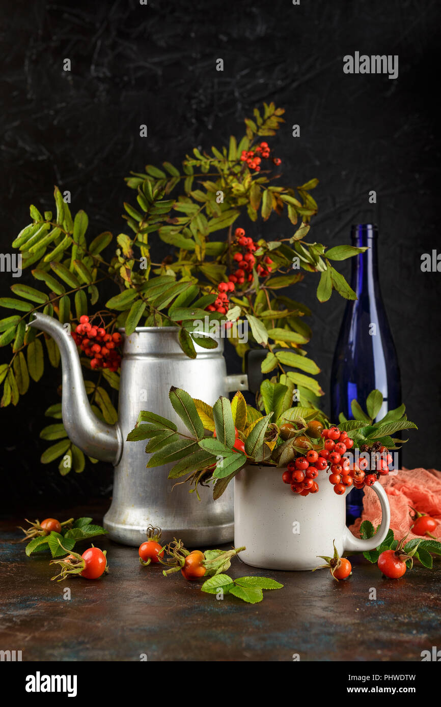 autumn still life with rowan Stock Photo - Alamy