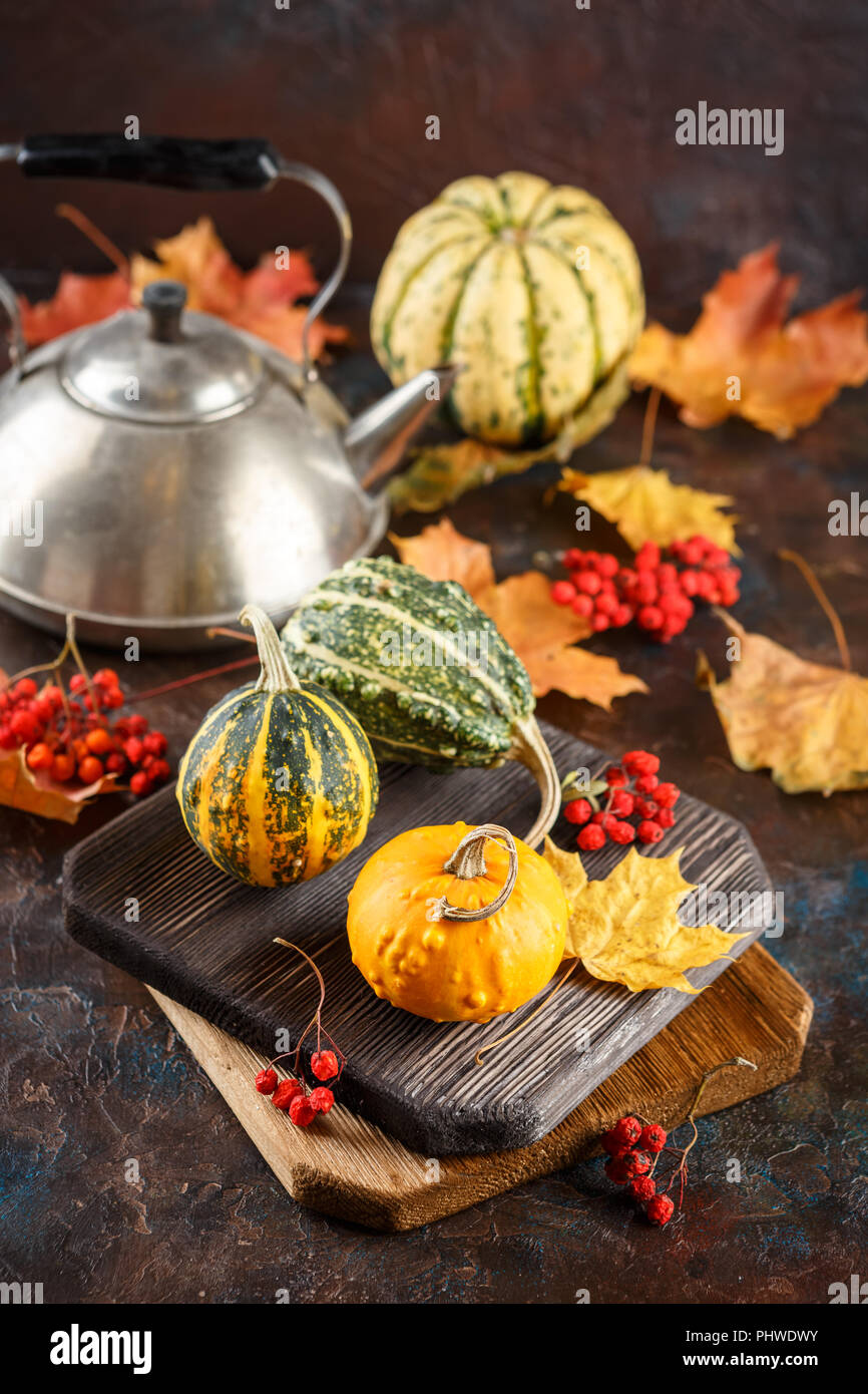 Small pumpkins decorative Stock Photo - Alamy