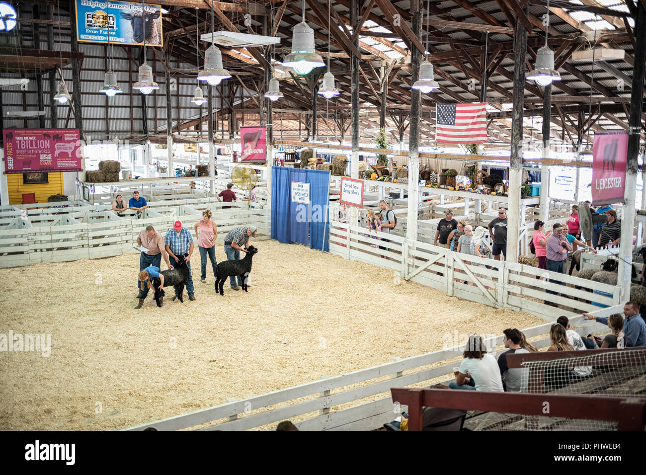 The Sheep Barn at the Great New York State Fair, September 1, 2018 ...