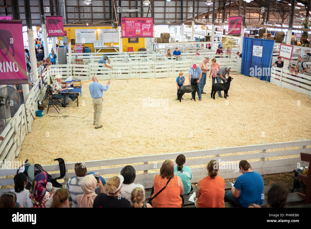 The Sheep Barn at the Great New York State Fair, September 1, 2018 ...