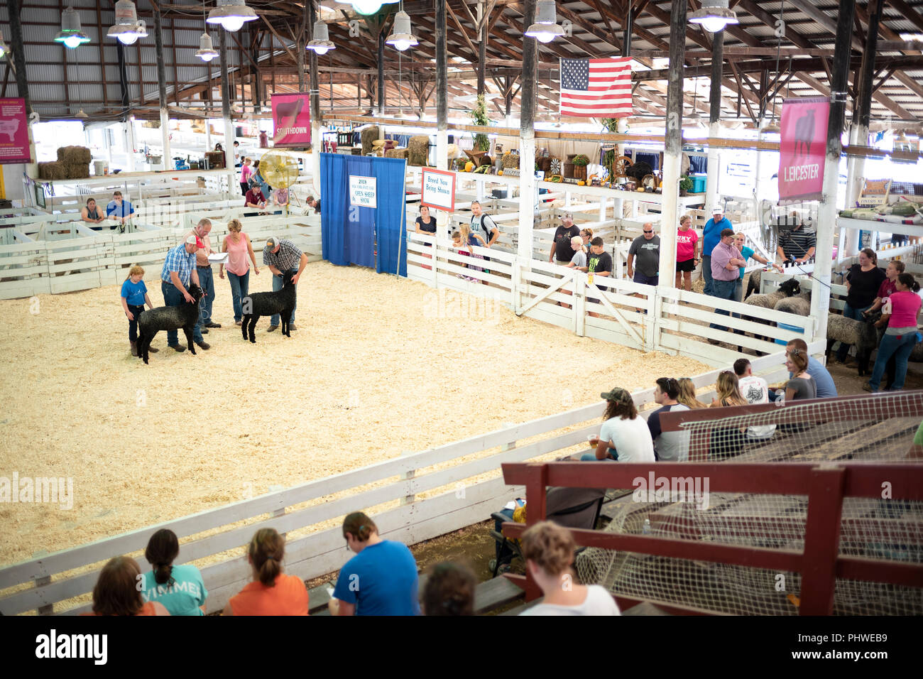 The Sheep Barn at the Great New York State Fair, September 1, 2018 ...
