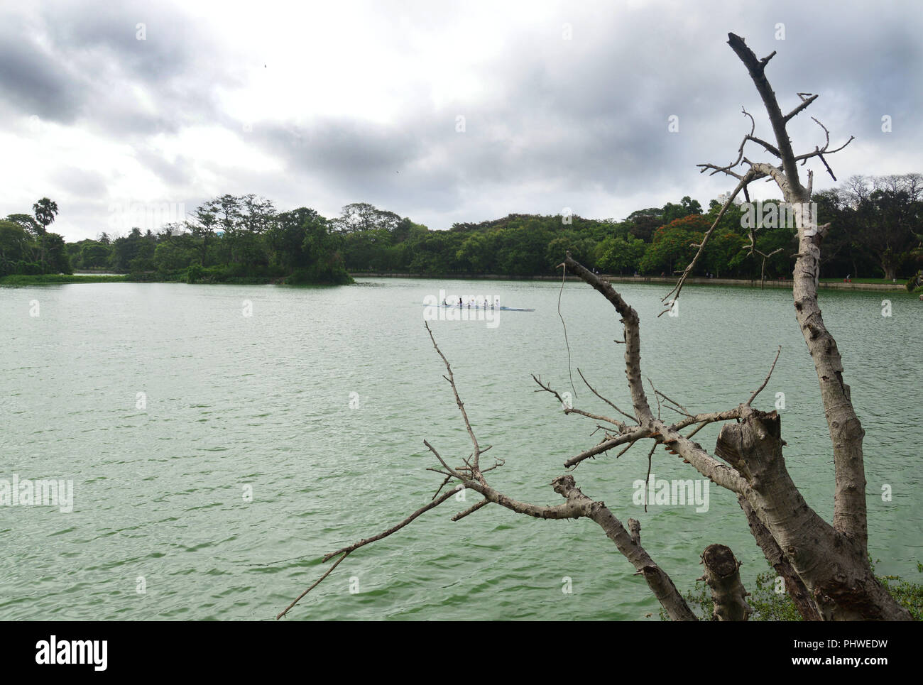 Rabindra sarobar lake hi-res stock photography and images - Alamy