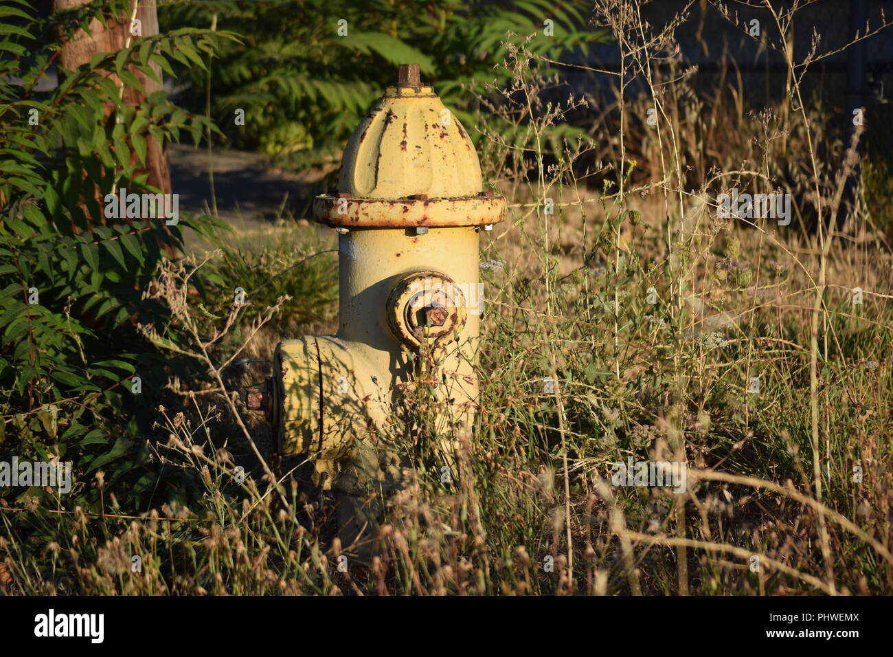 Old abandoned fire hydrant with rust Stock Photo - Alamy