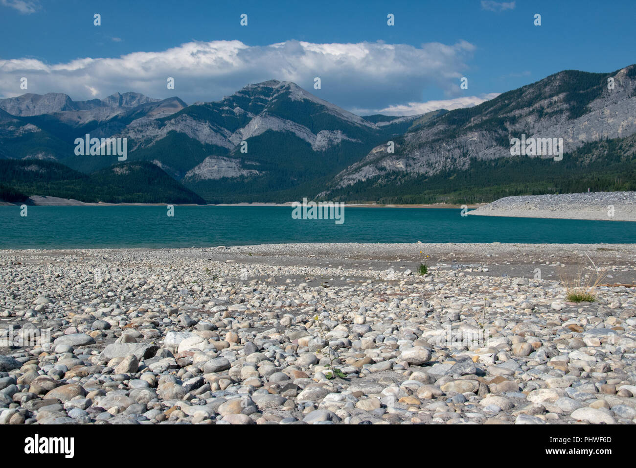 Barrier Lake in summer, Kananaskis, Alberta, Canada Stock Photo - Alamy