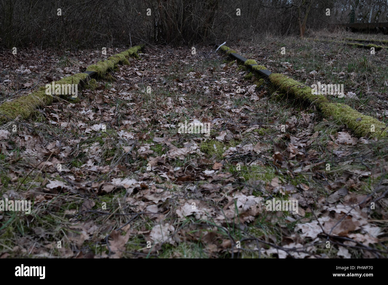 Old unused train Track overgrowned with Moss Stock Photo - Alamy