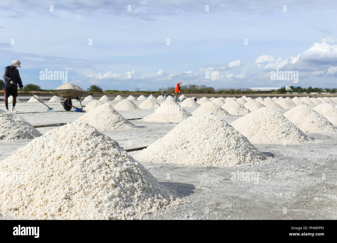 New salt field hi-res stock photography and images - Alamy