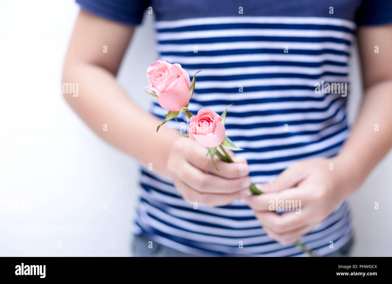 Hand holding a beautiful pink rose isolated Stock Photo - Alamy